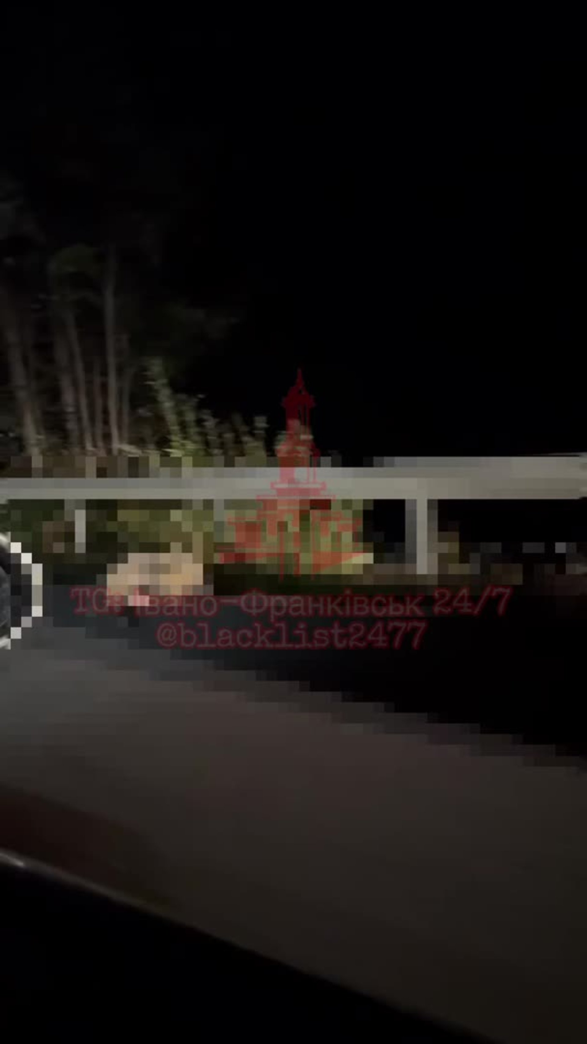 На Прикарпатті авто протаранило отару овець (ВІДЕО) | Varta1